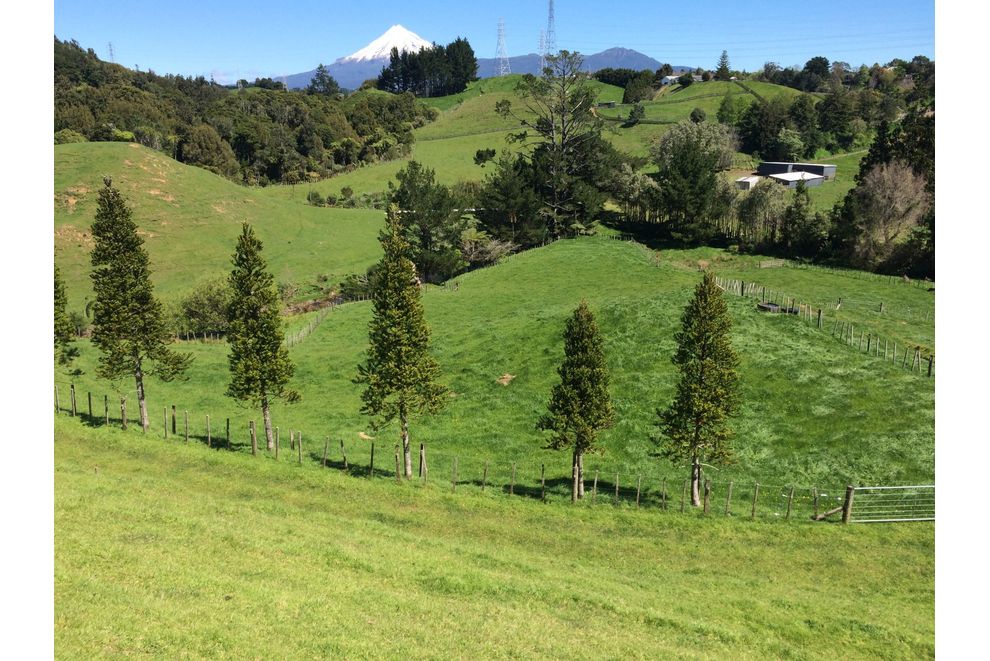 For sale 4 Junction Street, Welbourn - realestate.co.nz