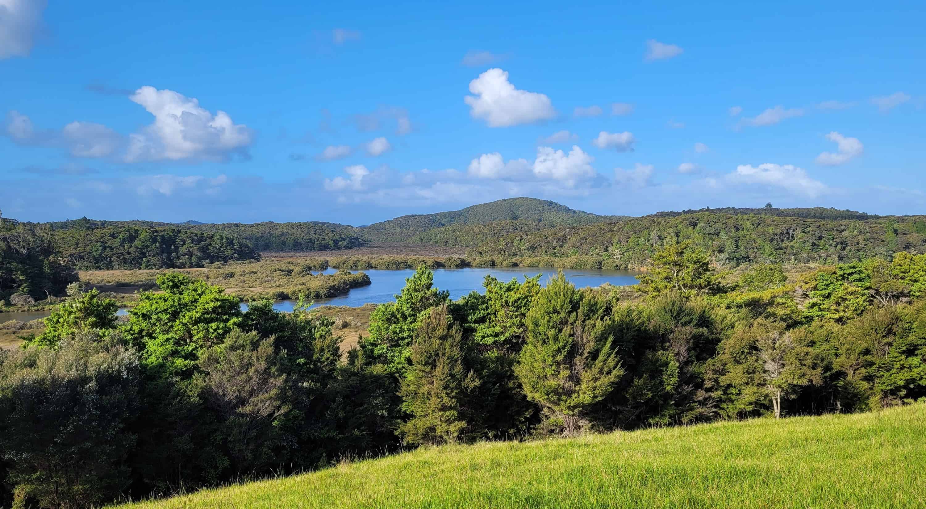 1111 Pataua North Road, Pataua North, Whangarei - For Sale - realestate ...