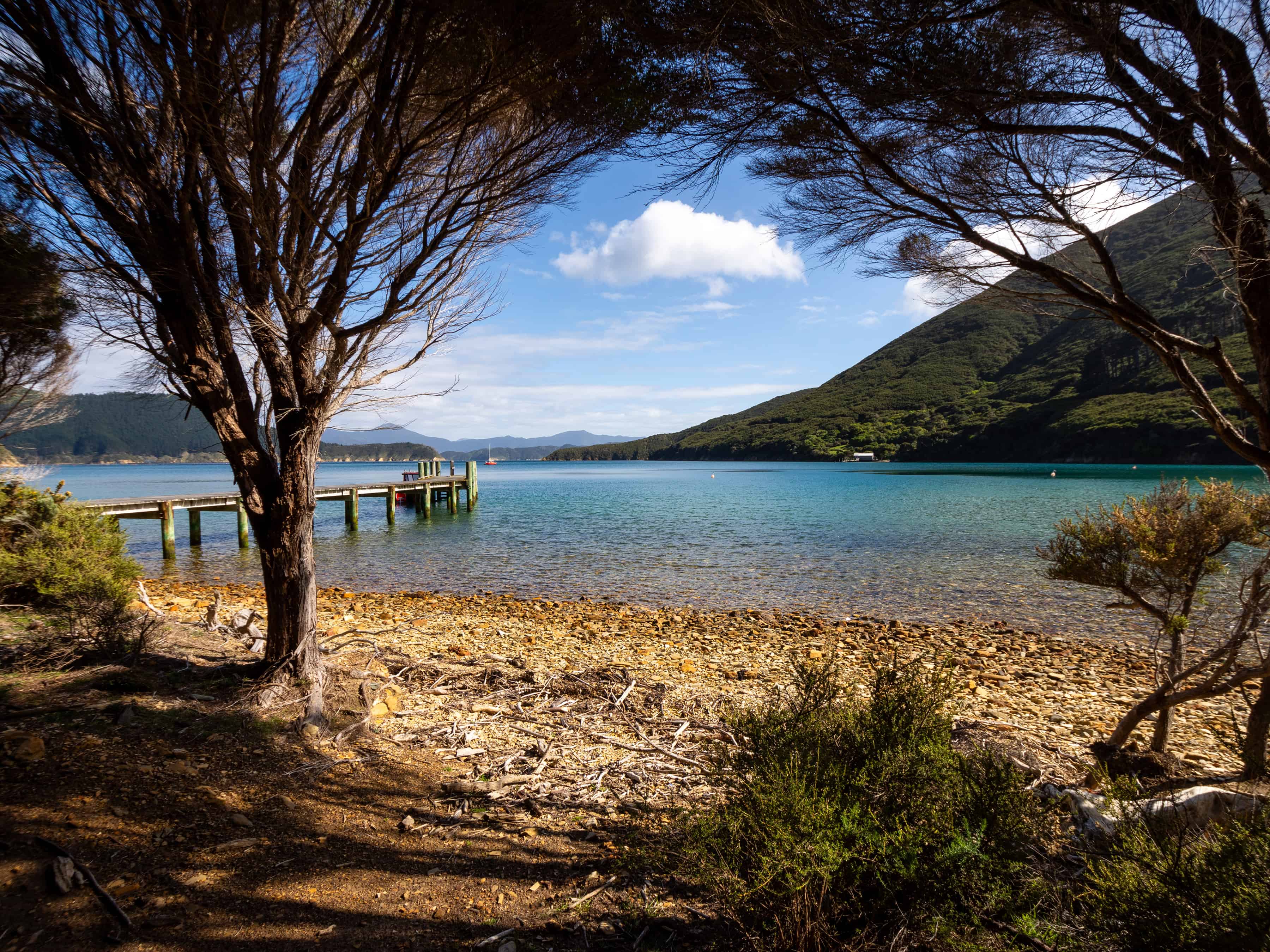 Marlborough Rural Farms and Real Estate for Sale - realestate.co.nz