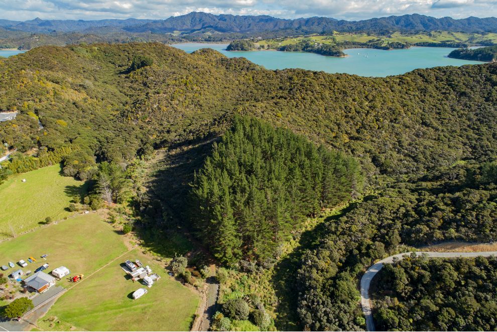 654 Whangaruru North Road, Whangaruru, Whangarei - For Sale ...