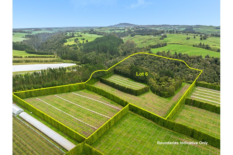 Lot 6/1010 Te Matai Road, Te Puke, Western Bay Of Plenty - For Sale ...