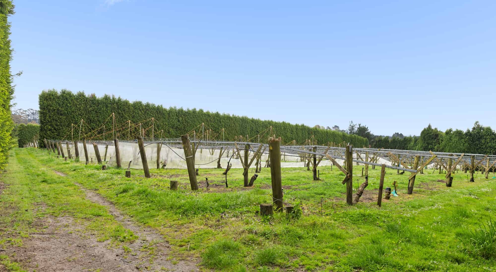 Lot 6/1010 Te Matai Road, Te Puke, Western Bay Of Plenty - For Sale ...