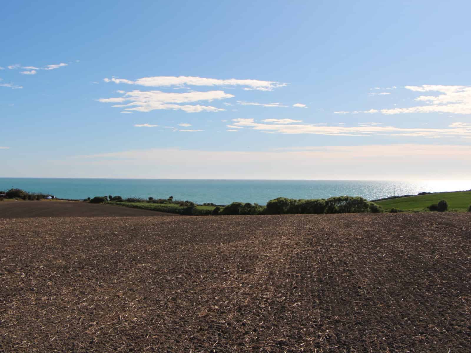 Timaru Central Homes and Real Estate for Sale - realestate.co.nz