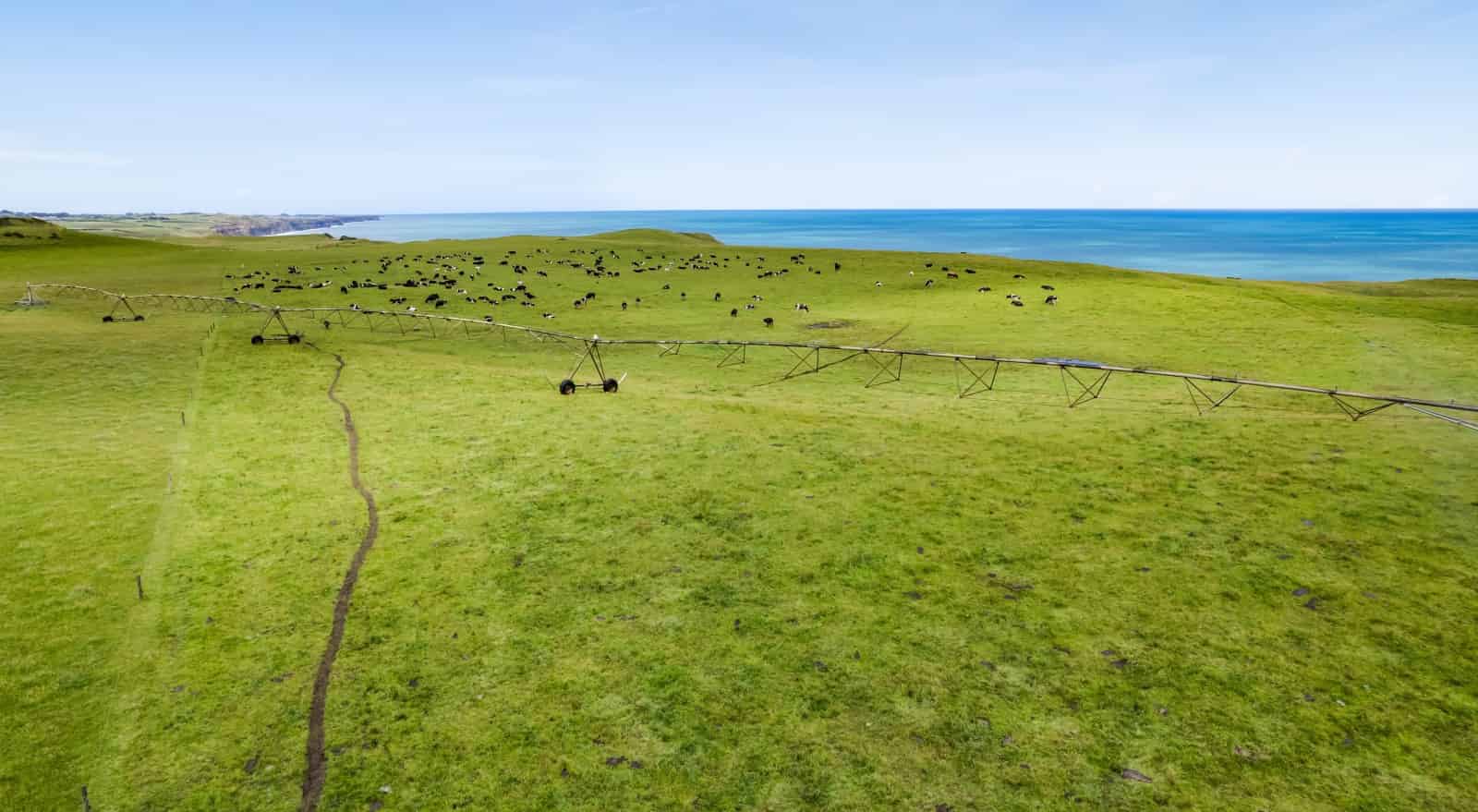 698 Manawapou Road, Hawera, South Taranaki - For Sale - realestate.co.nz