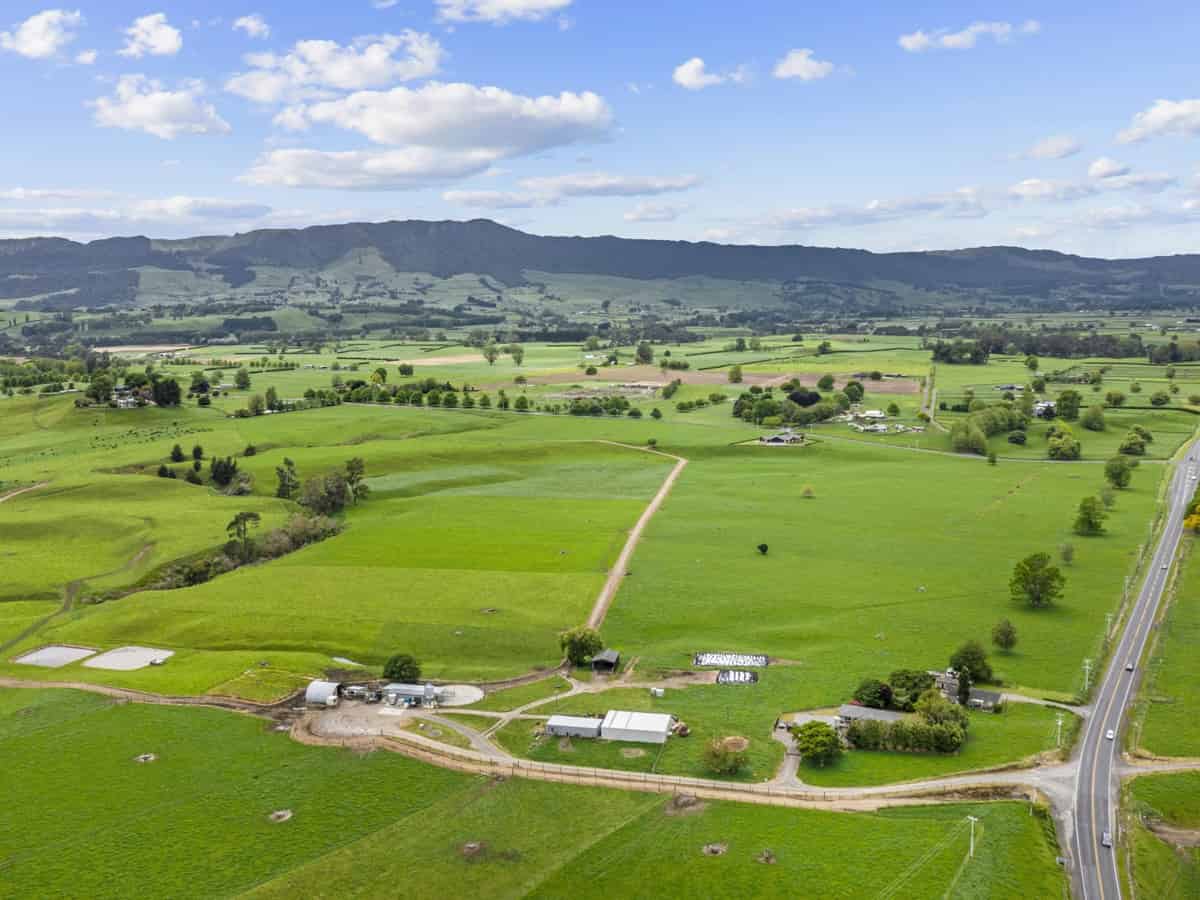 Waikato Rural Dairy Farms for Sale - realestate.co.nz