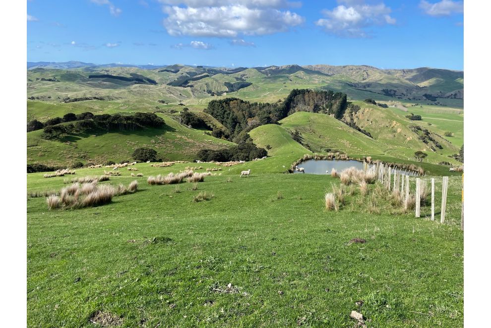 37 Waikakahi Road Pongaroa, Pongaroa, Tararua - For Sale - realestate.co.nz