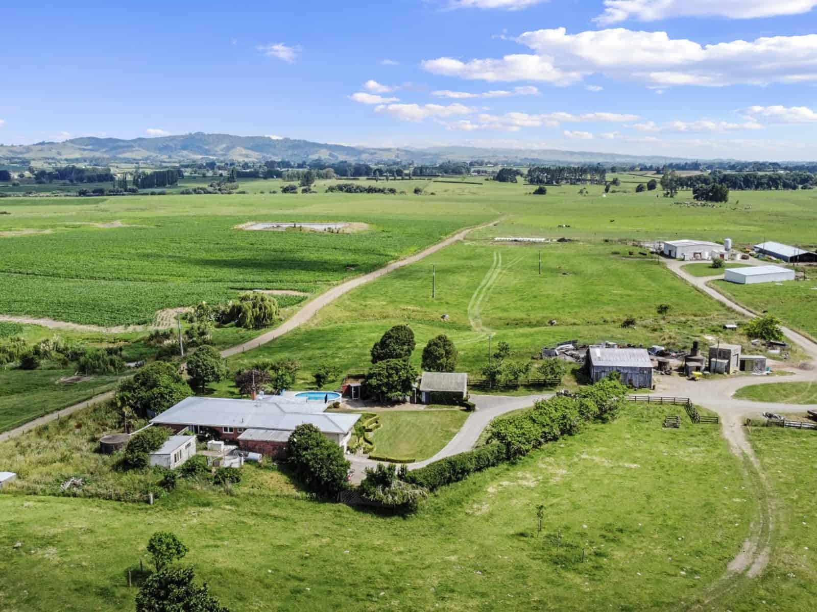 Matamata-Piako Rural Farms and Real Estate for Sale - realestate.co.nz