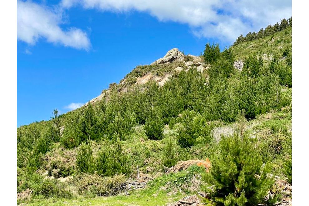 Lot 4 Gaudion Road, Peebles, OAMARU, Waitaki - For Sale - realestate.co.nz