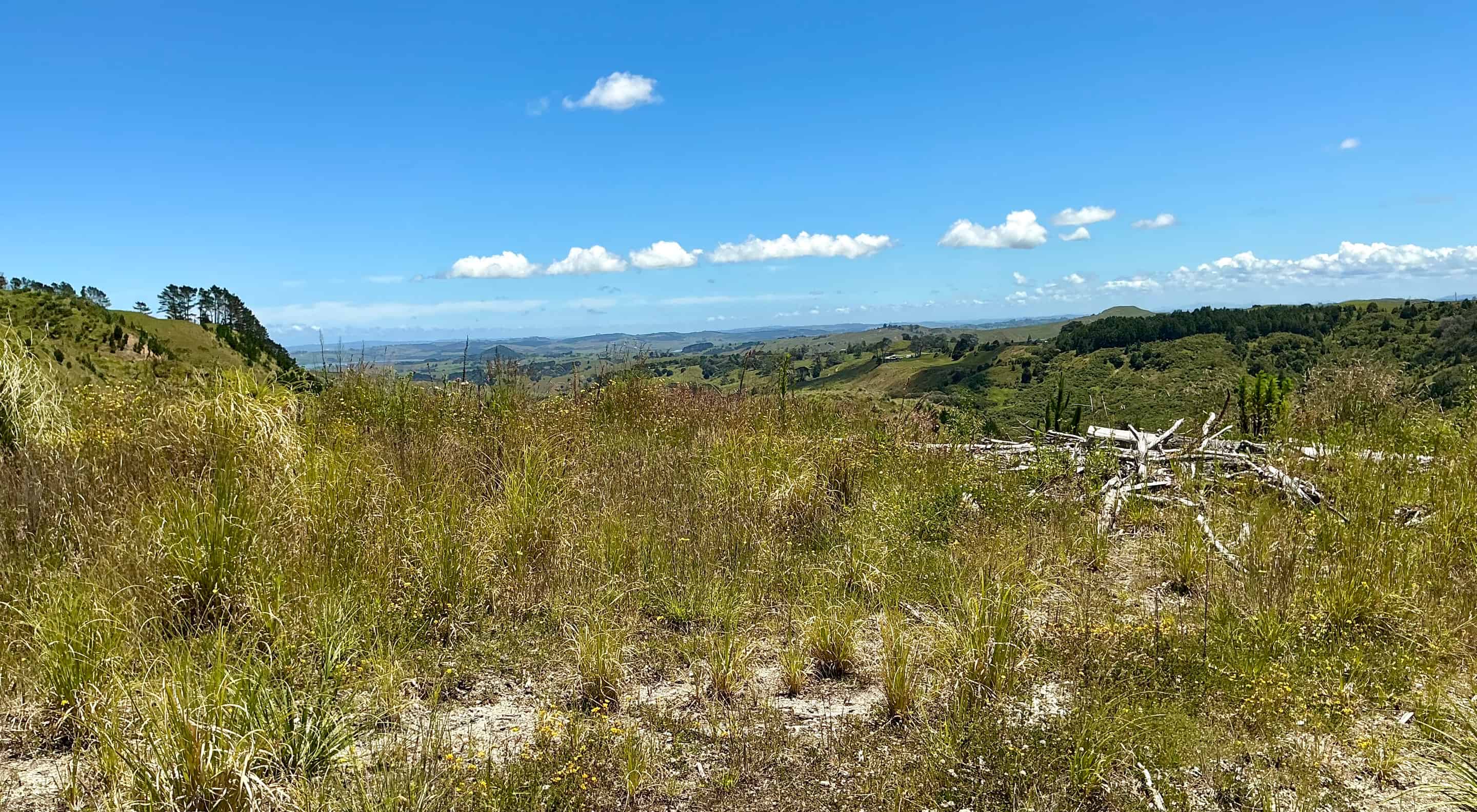 Lot 2 & 4 DP558999 & DP560071 Dill Road, Kaipara Flats, Rodney - For ...