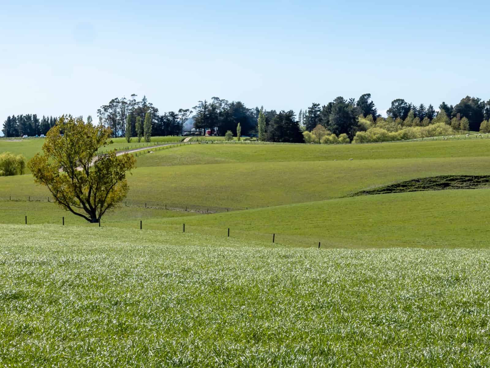 Timaru Rural Farms and Real Estate for Sale - realestate.co.nz