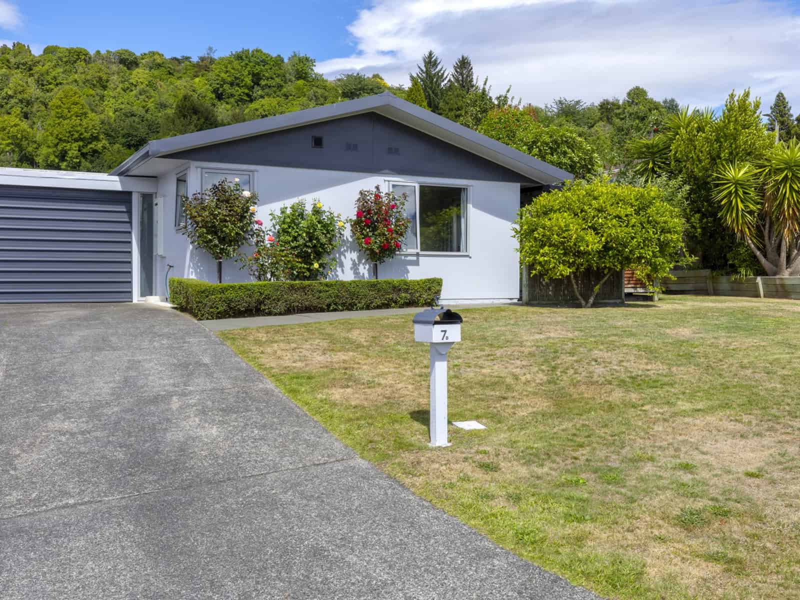Acacia Bay Homes and Real Estate for Sale - realestate.co.nz