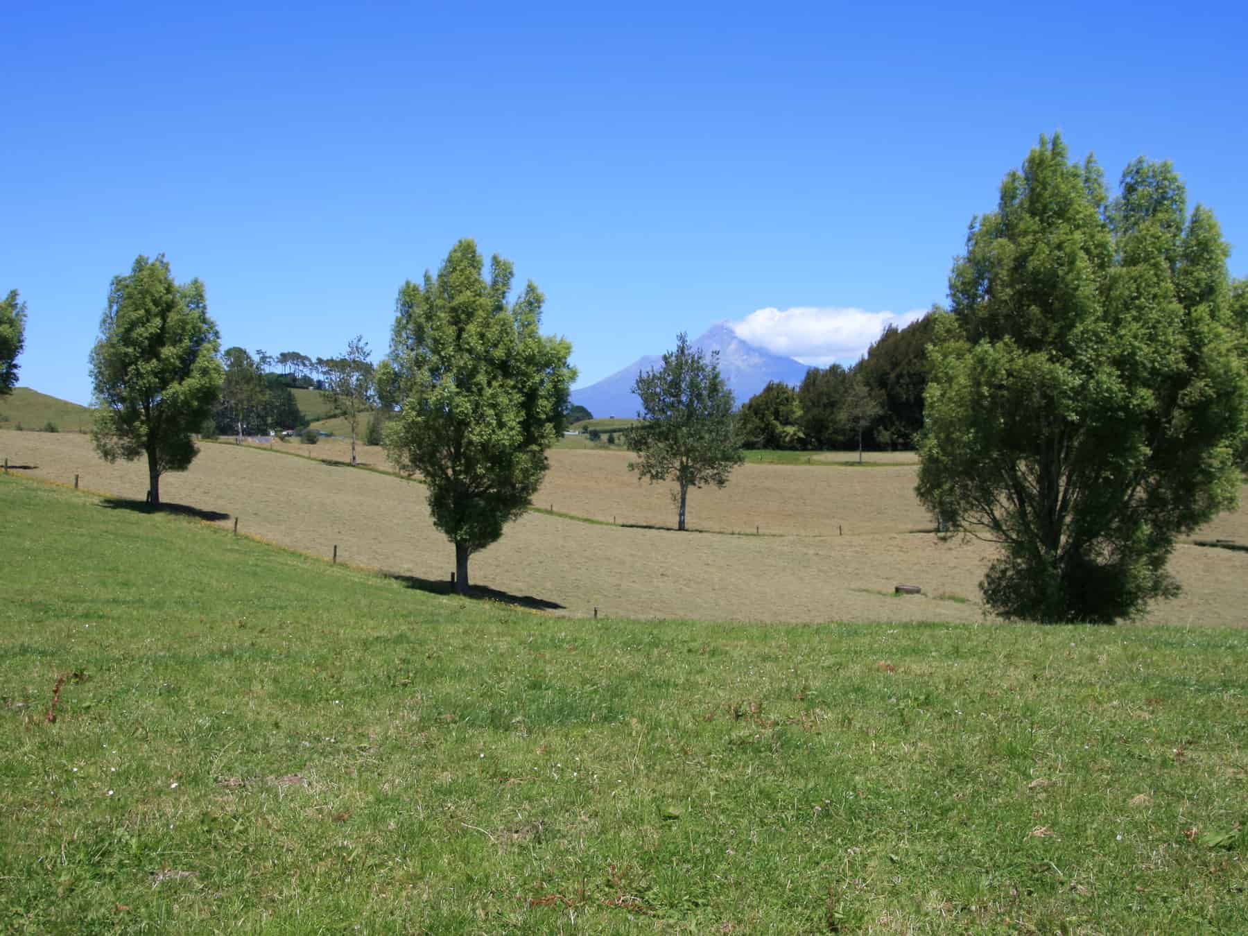 Taranaki Rural Dairy Farms for Sale - realestate.co.nz