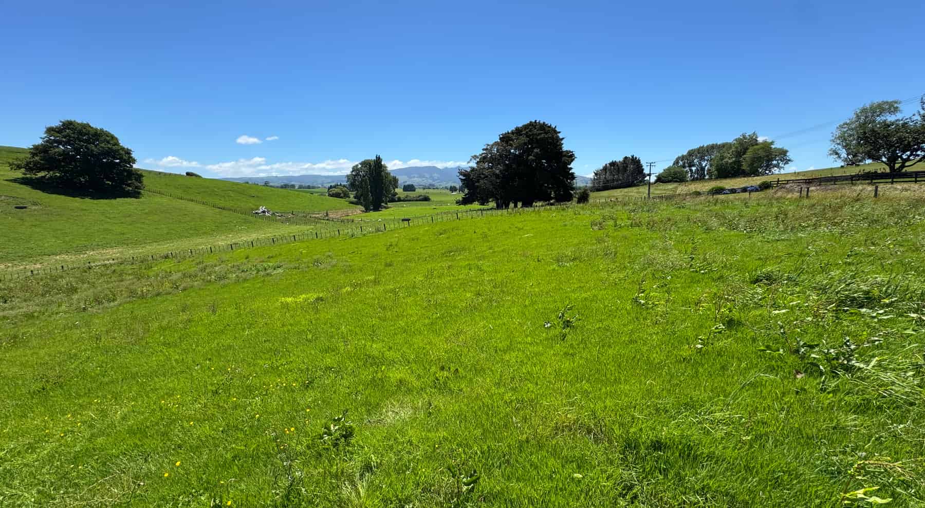 (Lot 1/1252 Pokuru Road, Te Awamutu, Waipa - For Sale - realestate.co.nz
