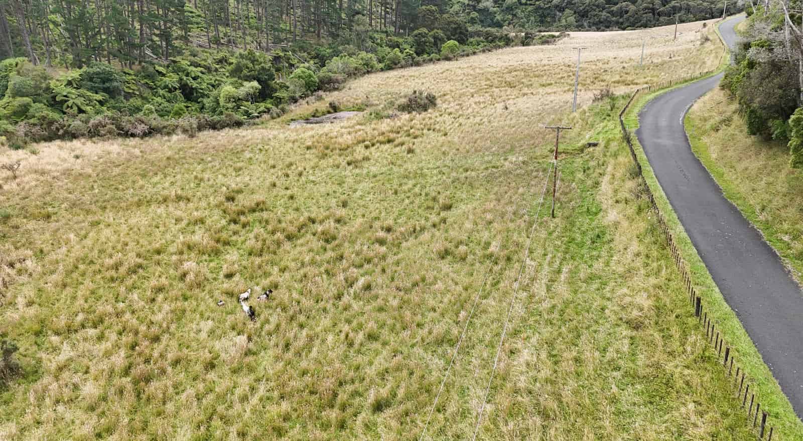 State Highway 4, Parikino, Whanganui - For Sale - realestate.co.nz