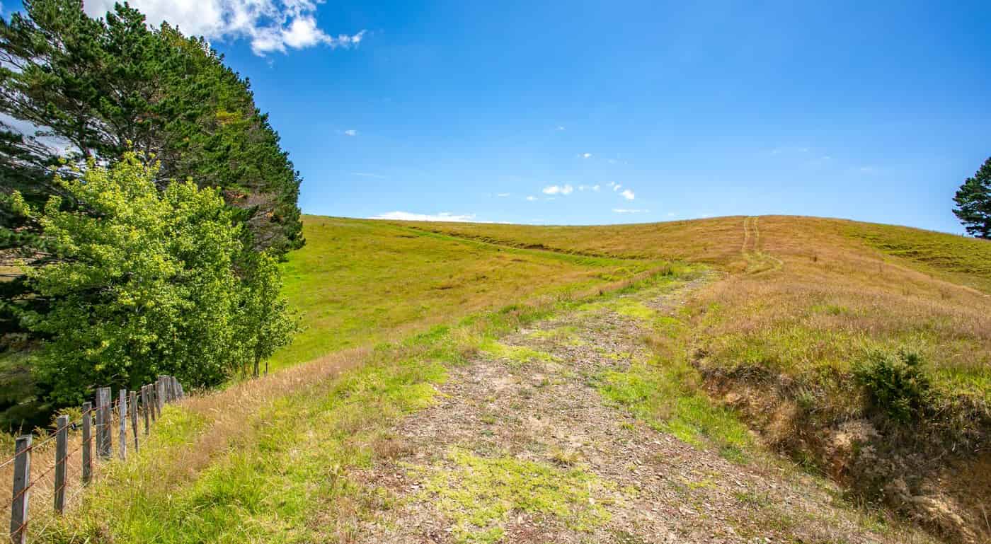 52 The 309 Road, Coromandel, Thames-Coromandel - For Sale - realestate ...