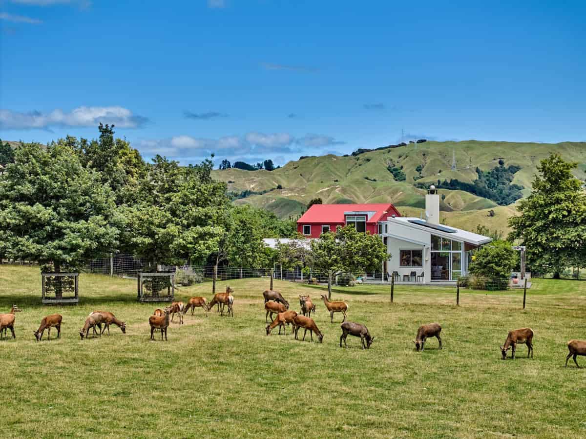 Otaki Homes and Real Estate for Sale - realestate.co.nz