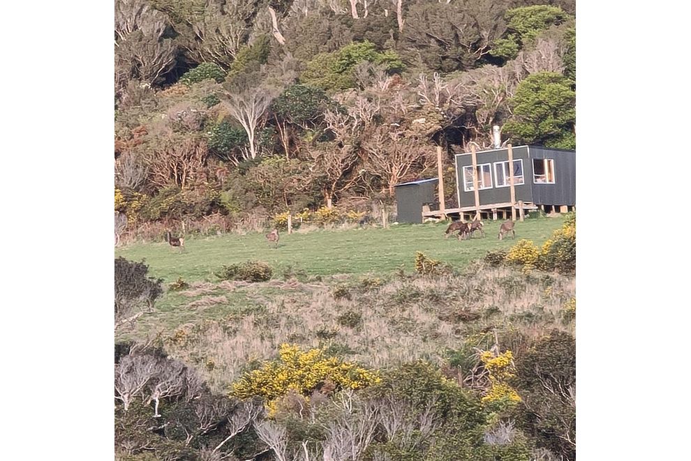 350 Fryer Road, Orepuki, Southland - For Sale - realestate.co.nz