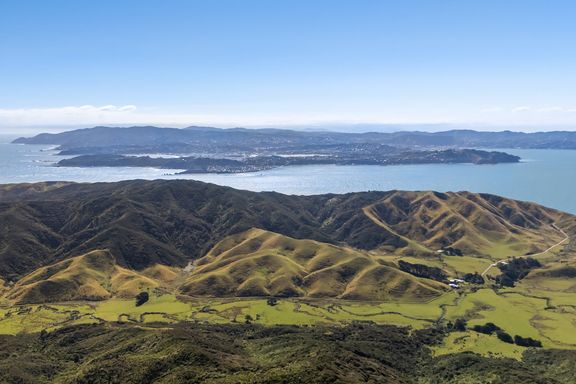 Sold - 525 Muritai Road, Pencarrow Head - realestate.co.nz