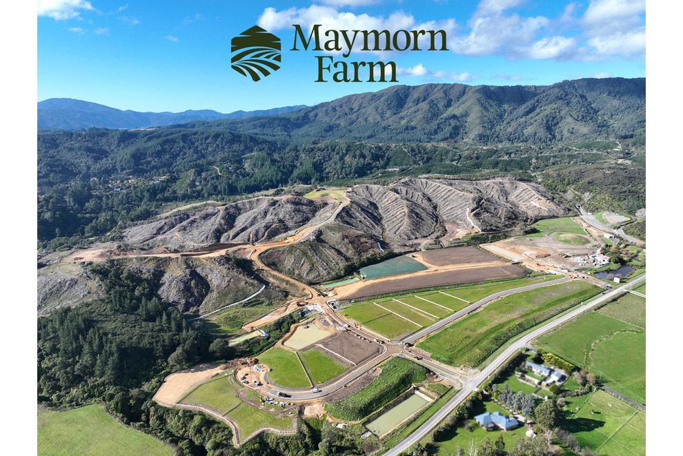 Wellington - For Sale - realestate.co.nz