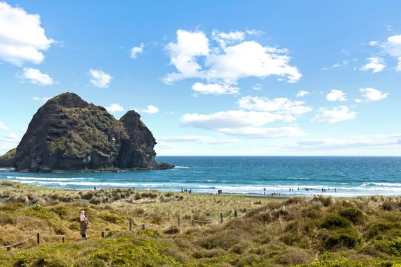 Property value - 47 Marine Parade South, Piha - realestate.co.nz