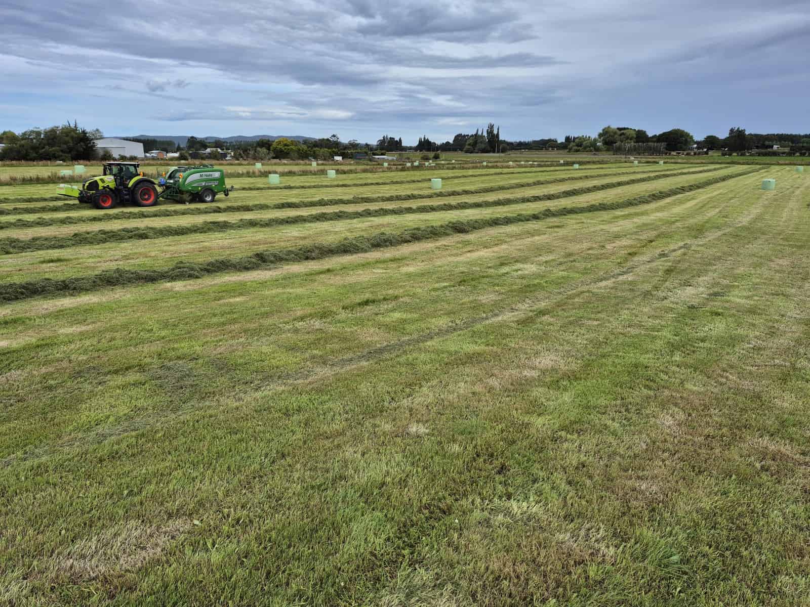 Clutha Homes and Real Estate for Sale - realestate.co.nz