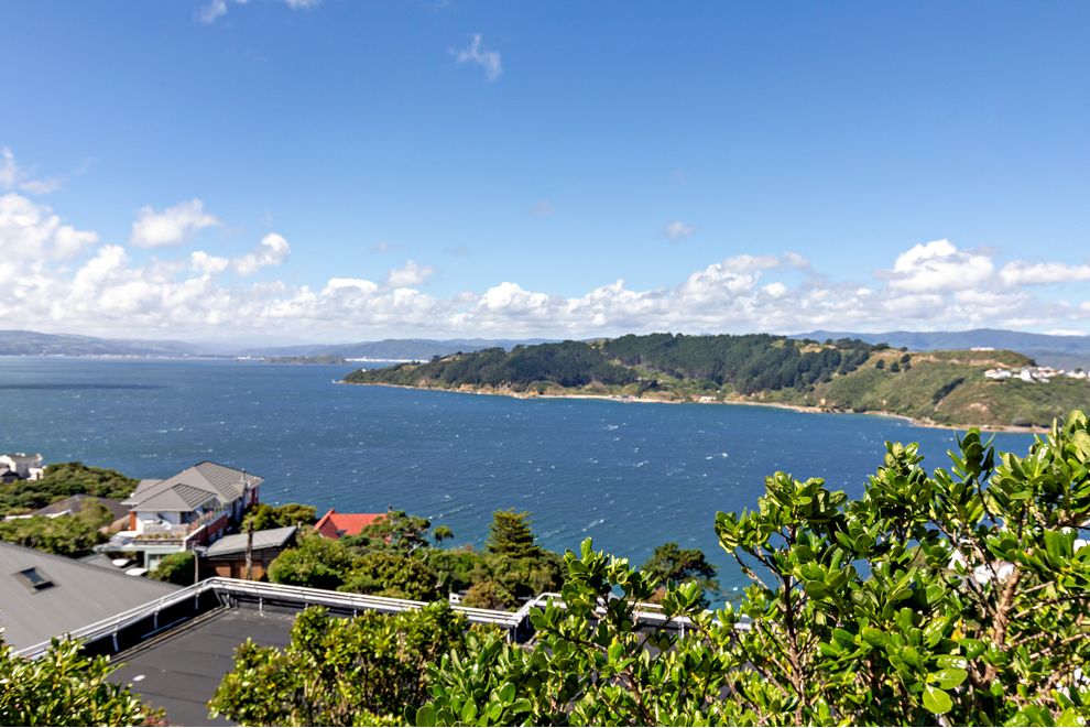 149 Te Anau Road, Hataitai, Wellington City - For Sale - realestate.co.nz