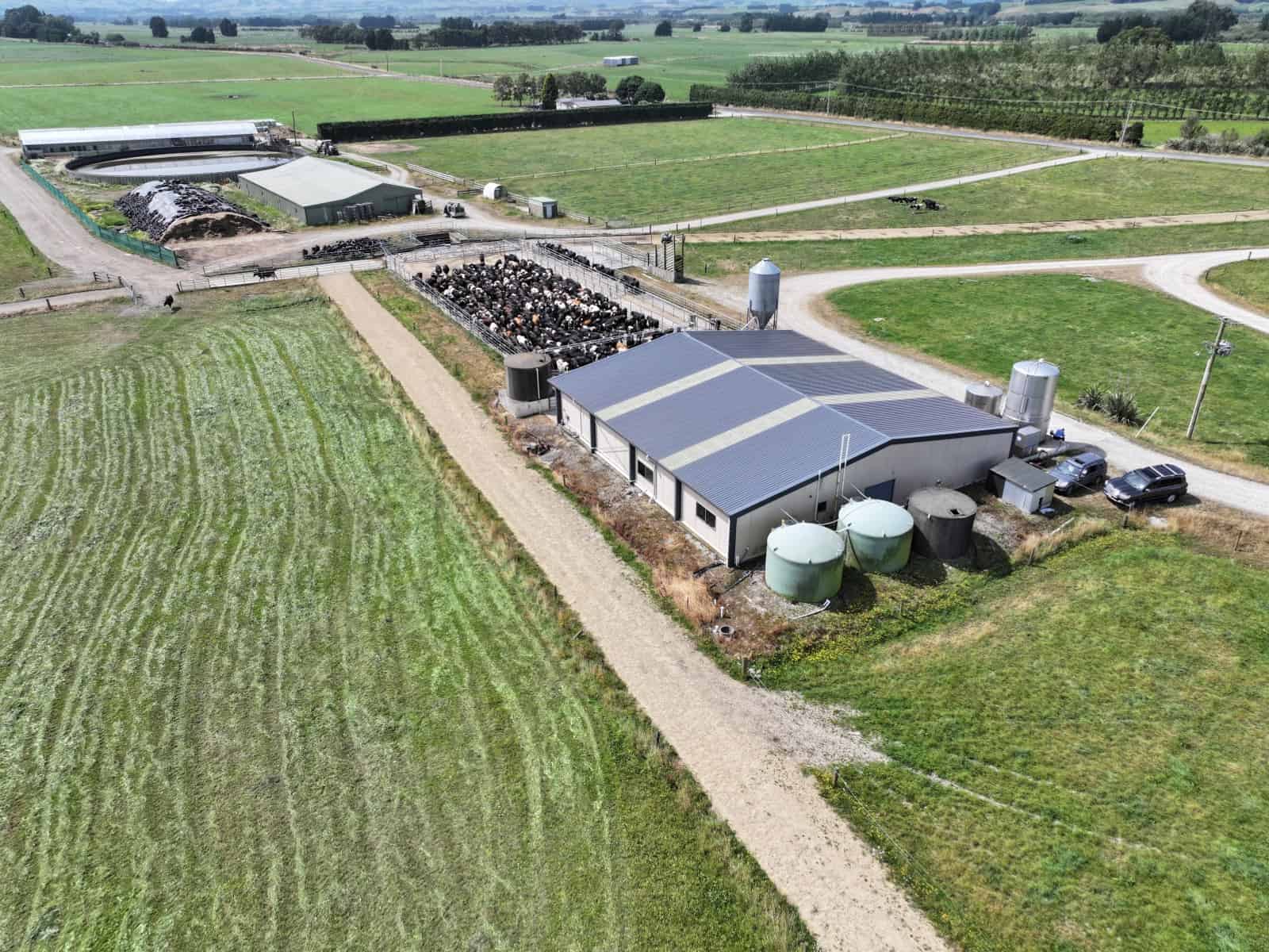 New Zealand Rural Dairy Farms for Sale - realestate.co.nz