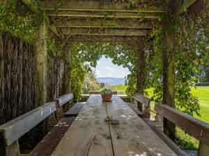 Hahei Homes and Real Estate for Sale - realestate.co.nz