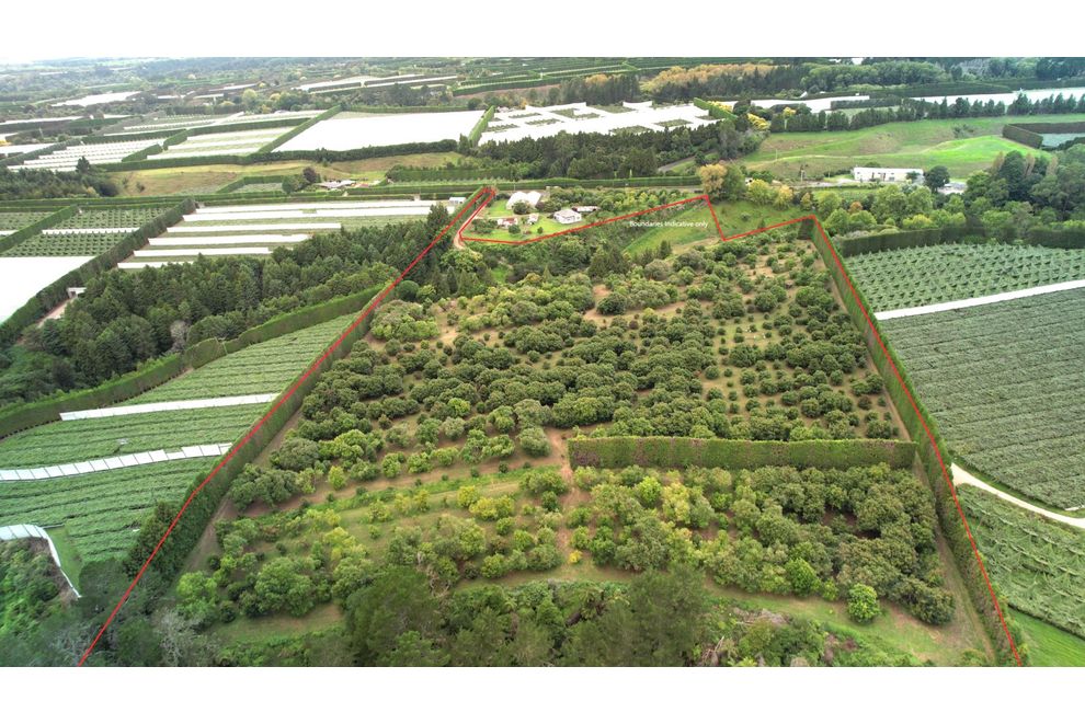 400 Te Matai Road, Te Puke, Western Bay Of Plenty - For Sale ...