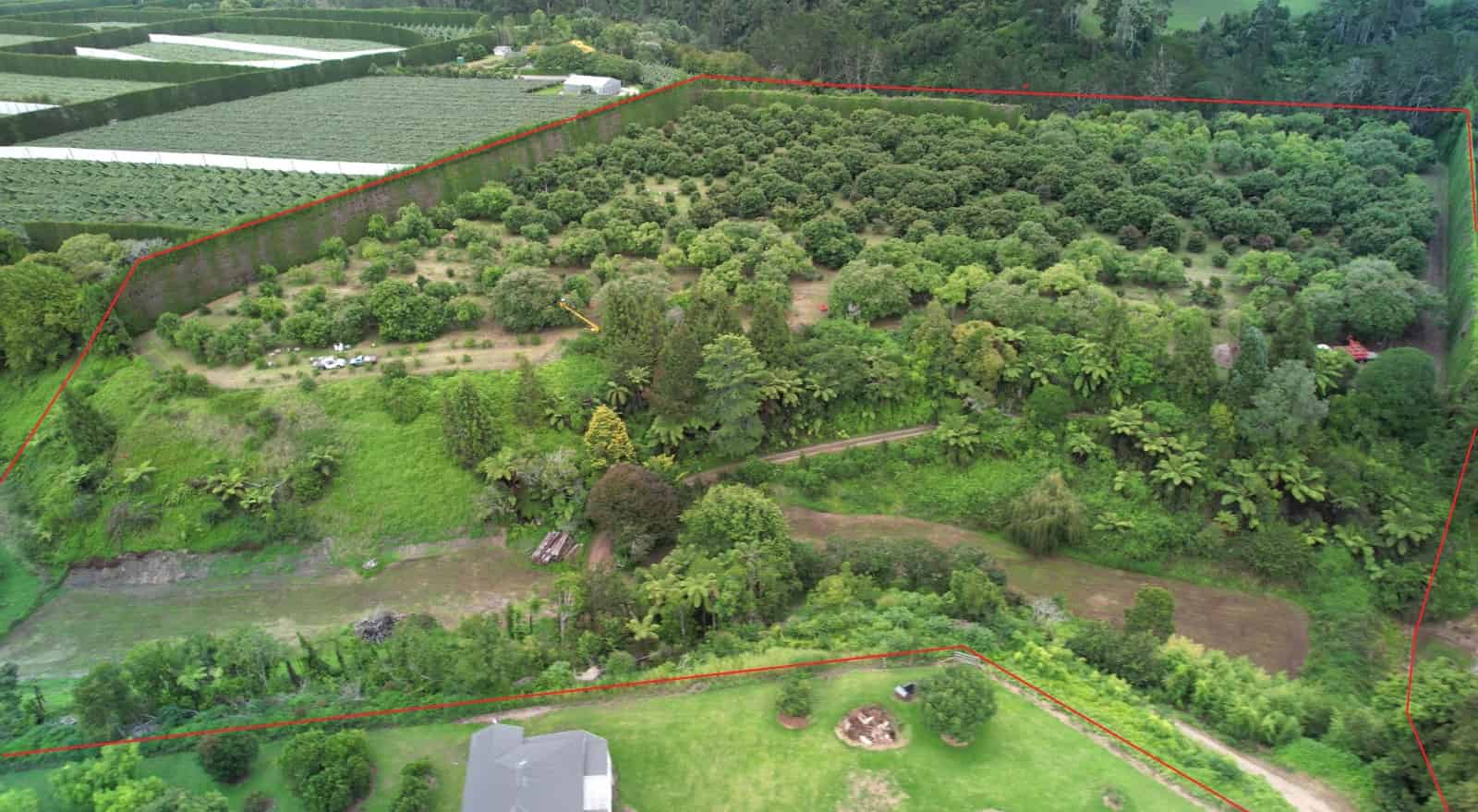400 Te Matai Road, Te Puke, Western Bay Of Plenty - For Sale ...