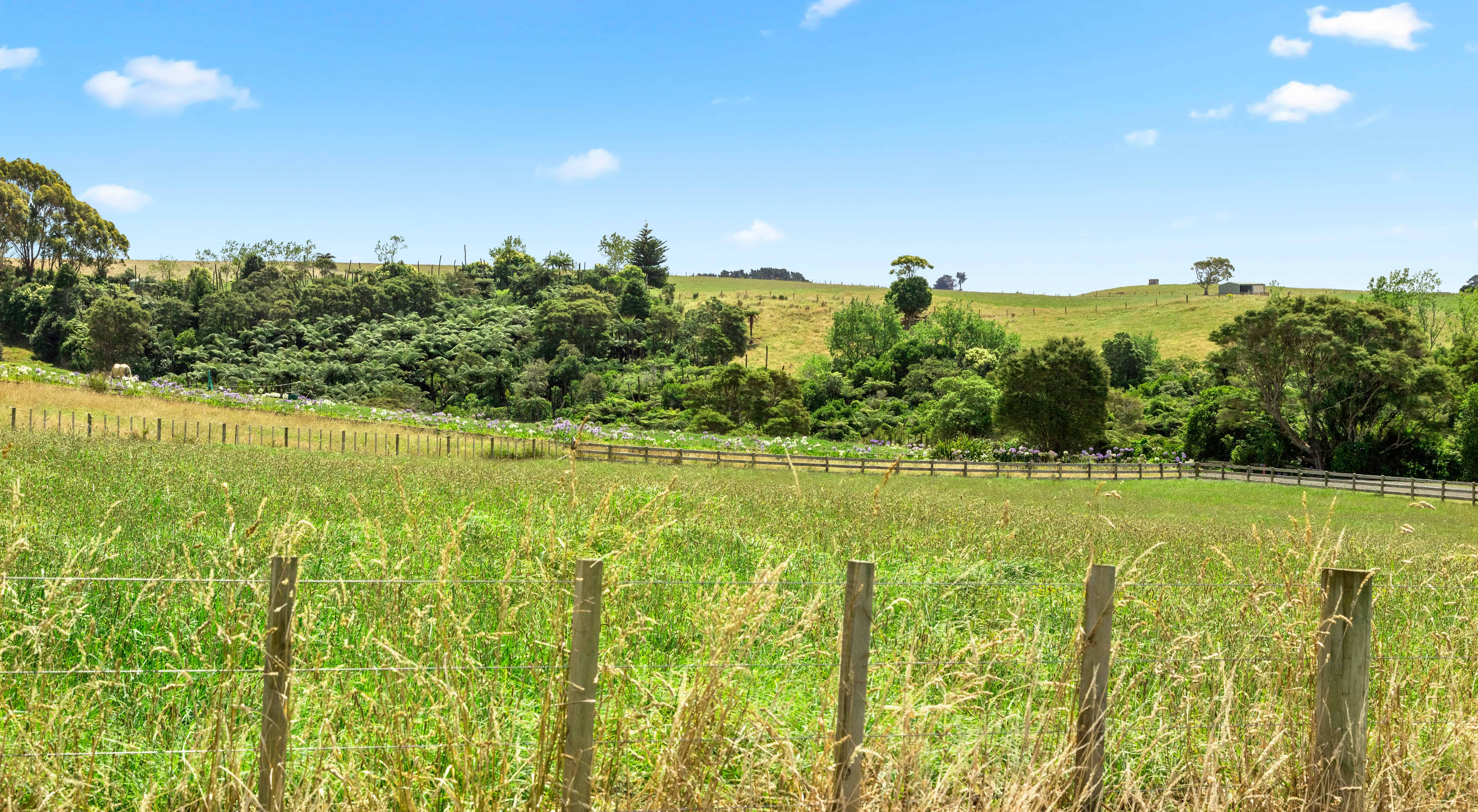 74d Broken Bridge Road, Hunua, Franklin - For Sale - realestate.co.nz