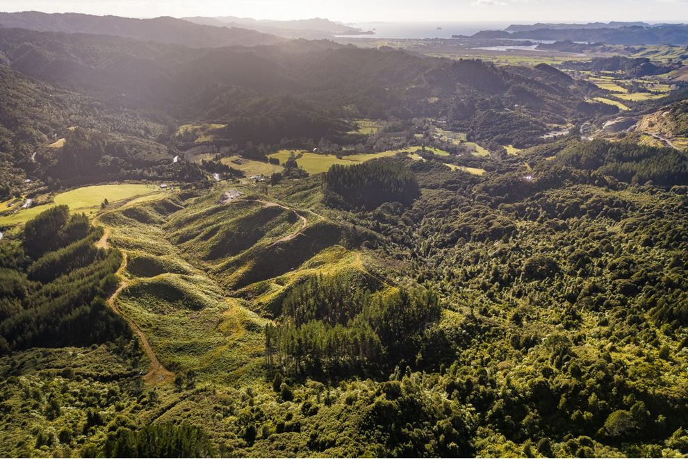 1870 The 309 Road, Whitianga, Thames-Coromandel - For Sale - realestate ...