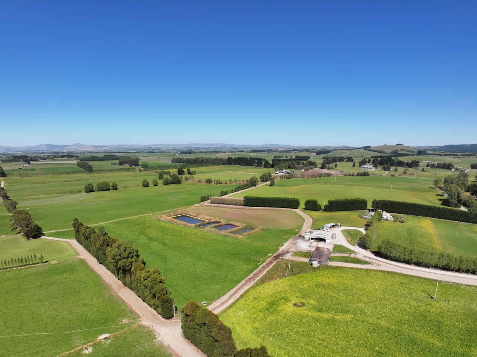 New Zealand Rural Dairy Farms for Sale - realestate.co.nz
