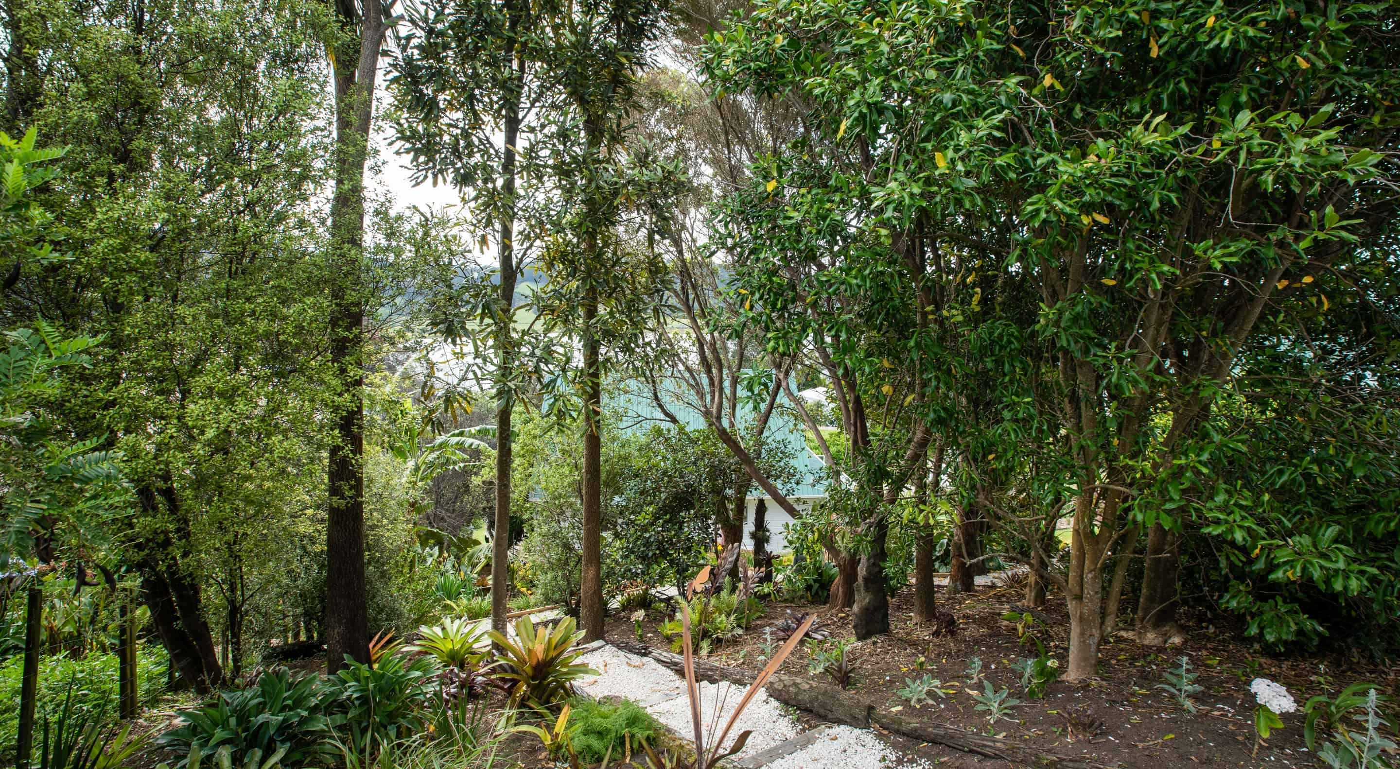 12 Moana Drive, Tanners Point, Western Bay Of Plenty - For Sale ...