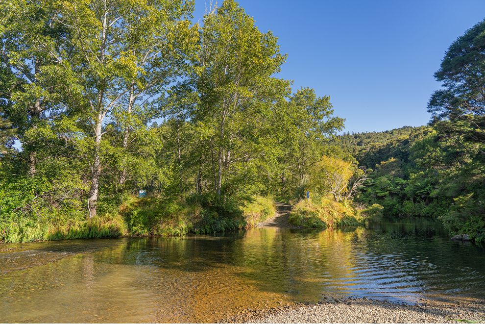 1878 The 309 Road, Kaimarama, Whitianga, Thames-Coromandel - For Sale ...