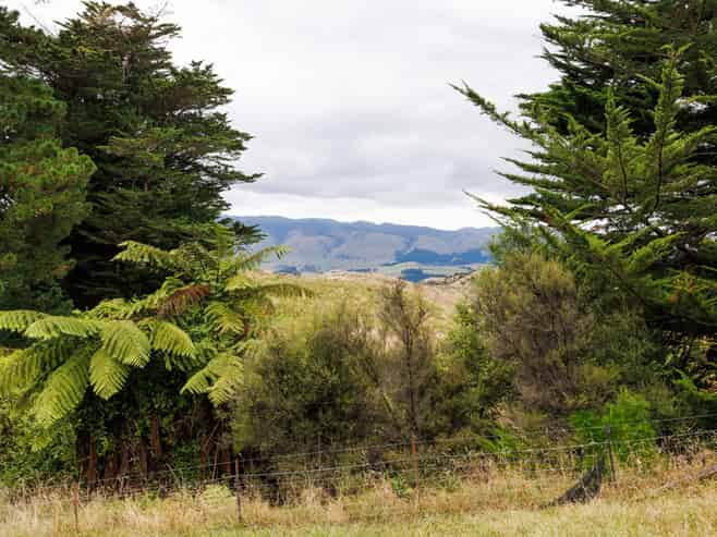 Ashhurst Homes and Real Estate for Sale - realestate.co.nz