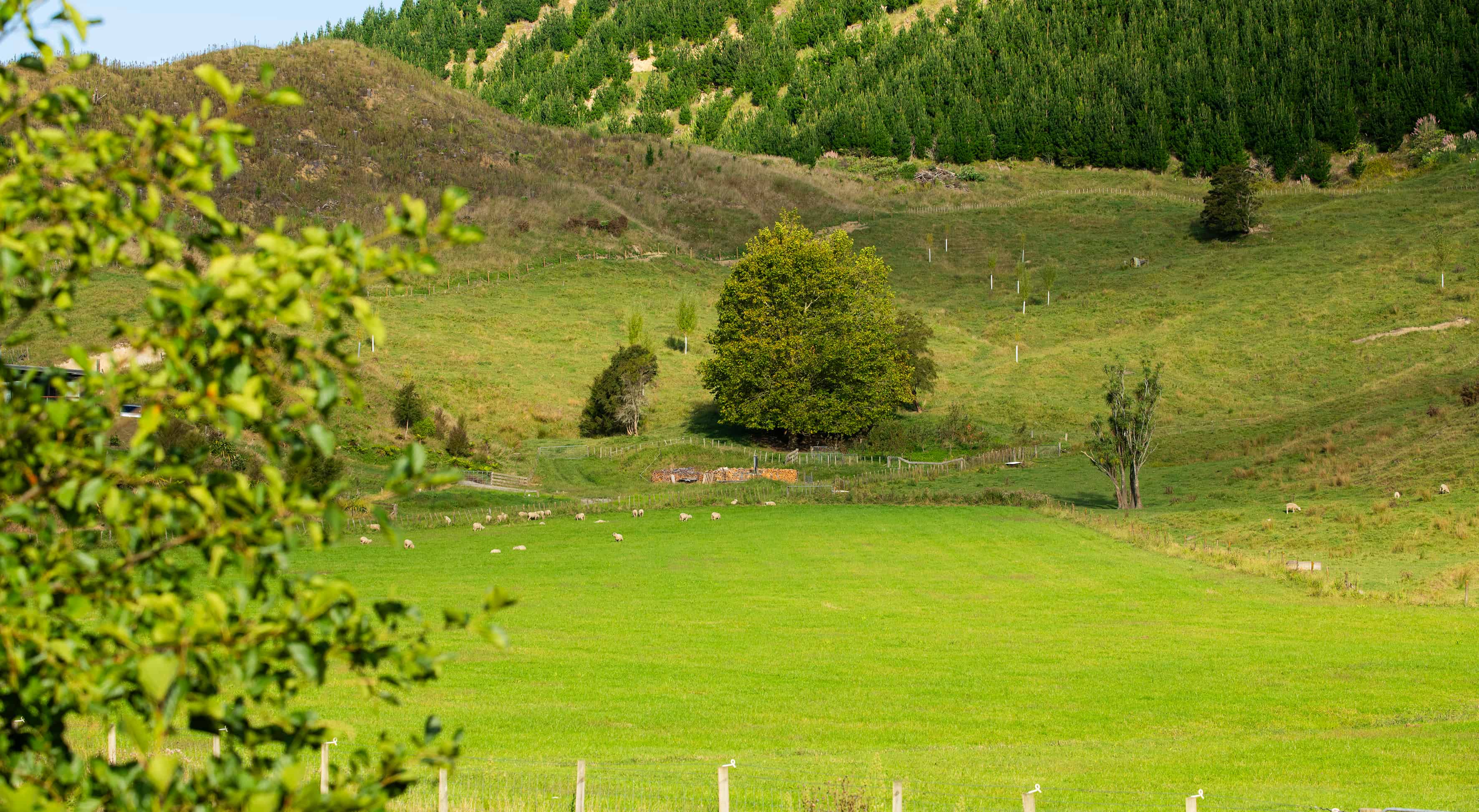 Ormond Valley Road, Ormond, Gisborne - For Sale - realestate.co.nz