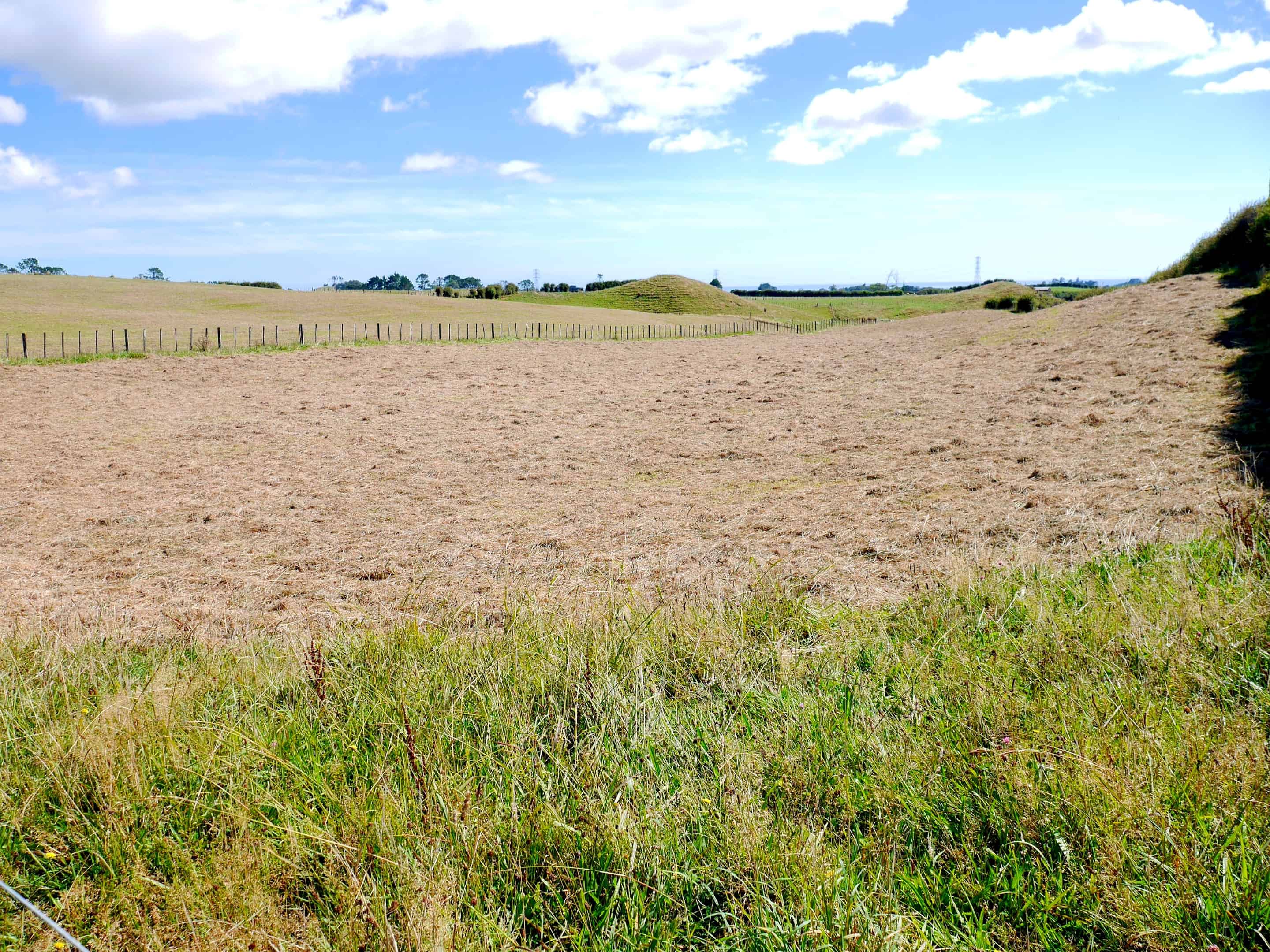 New Zealand Bare land Parcels and Rural Farms for Sale - realestate.co.nz