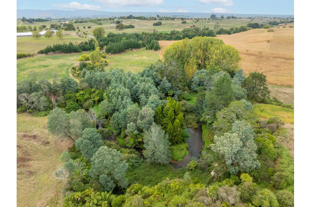 120 Langlands Road, Okoroire, South Waikato - For Sale - realestate.co.nz