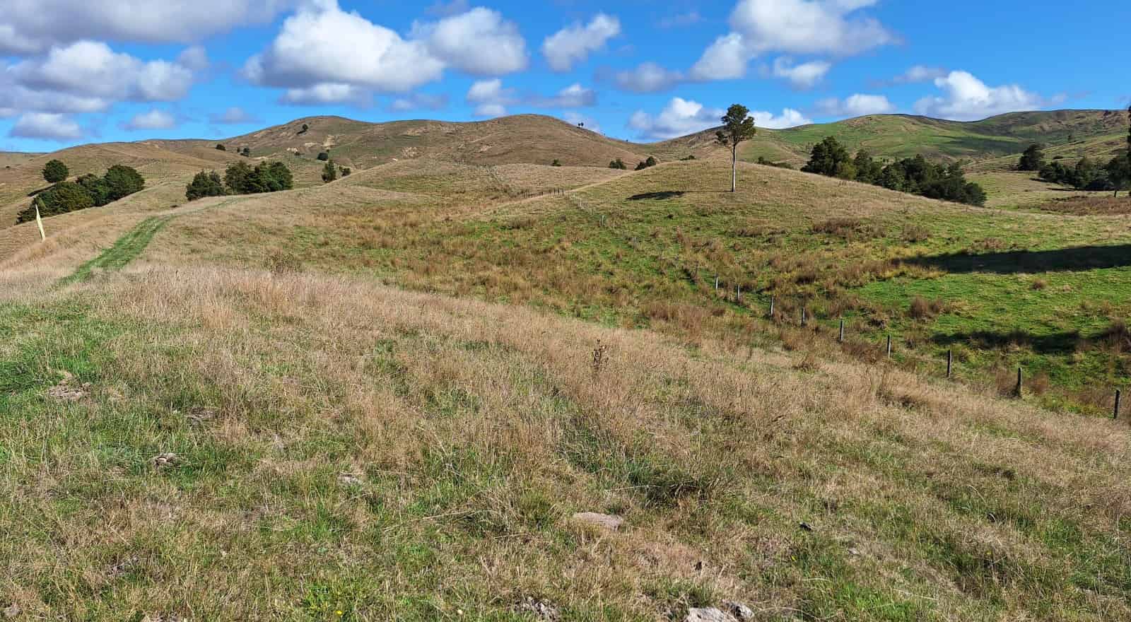 Mangaone Road, Pongaroa, Tararua - For Sale - realestate.co.nz