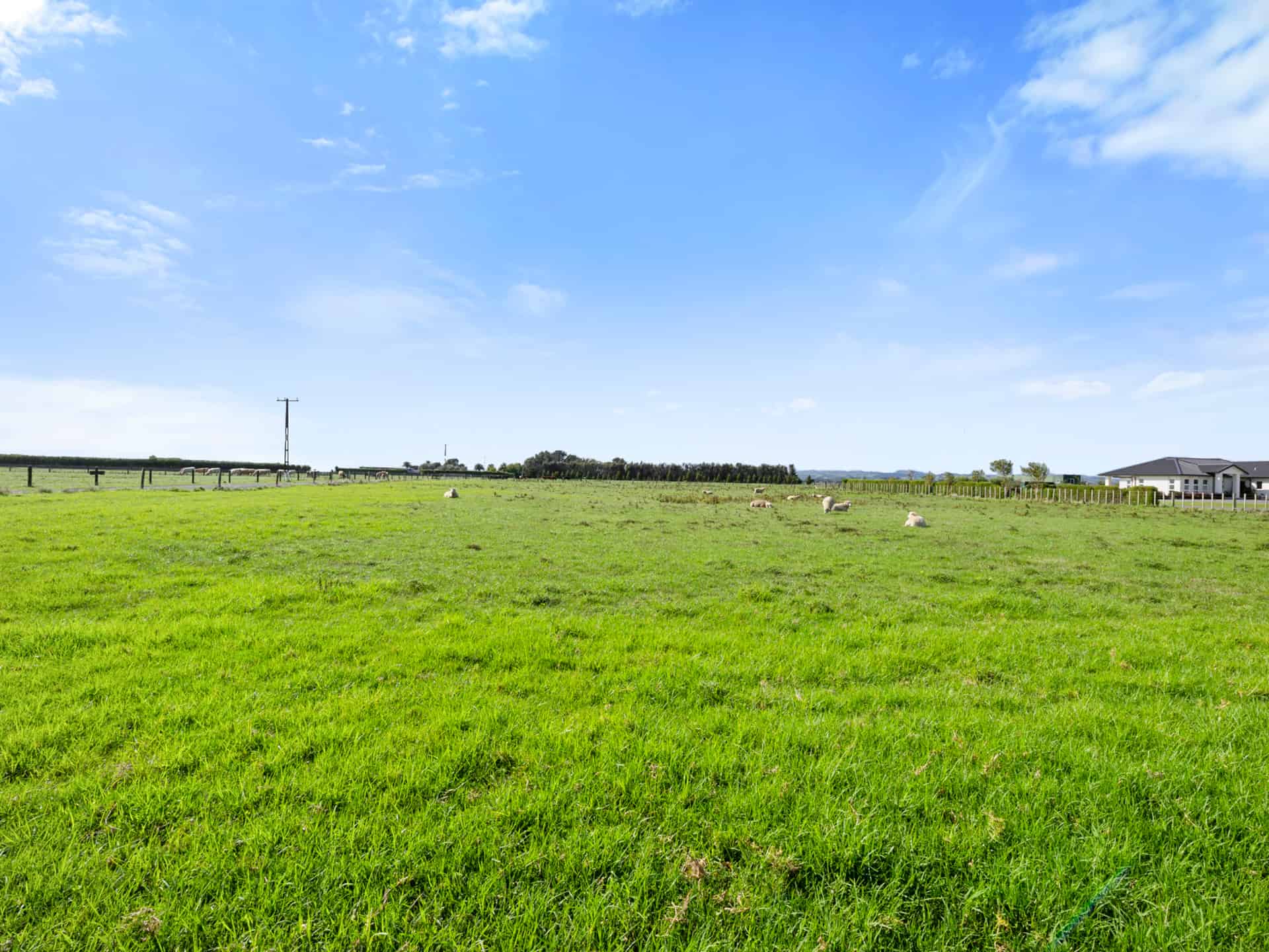 Taranaki Rural Farms and Real Estate for Sale - realestate.co.nz