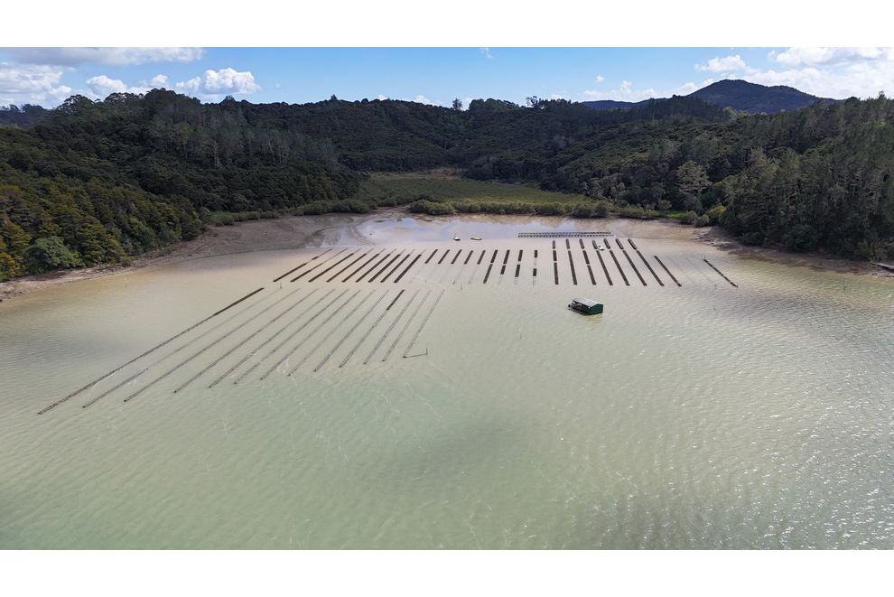 Waikare Inlet, Opua, Far North - For Sale - realestate.co.nz