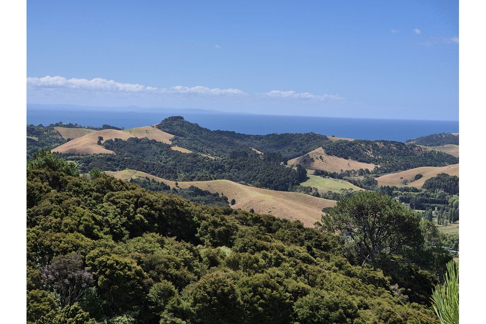 79 Awaawaroa Road, Waiheke Island, Waiheke Island - For Sale ...