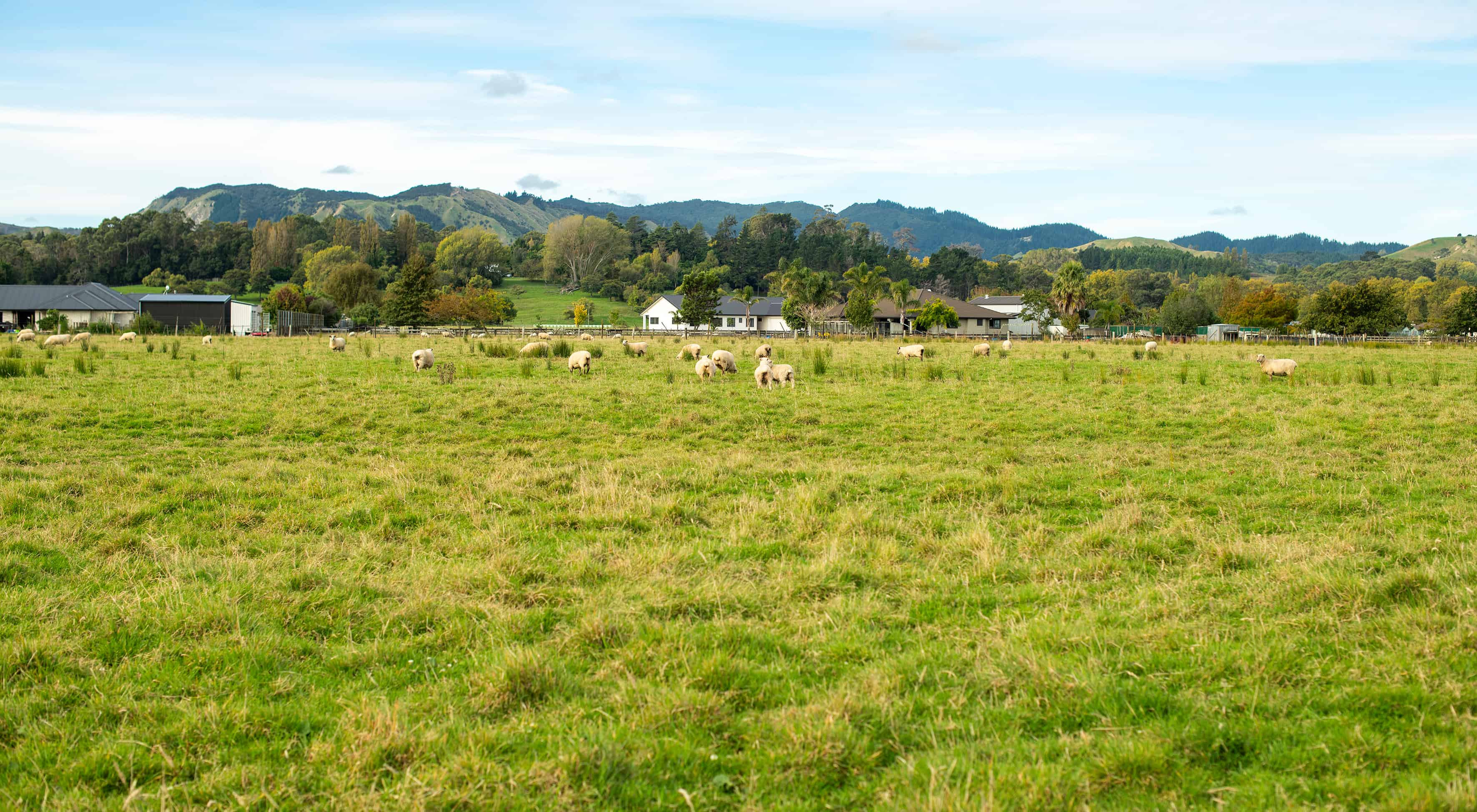 Haisman Road, Makauri, Gisborne - For Sale - realestate.co.nz