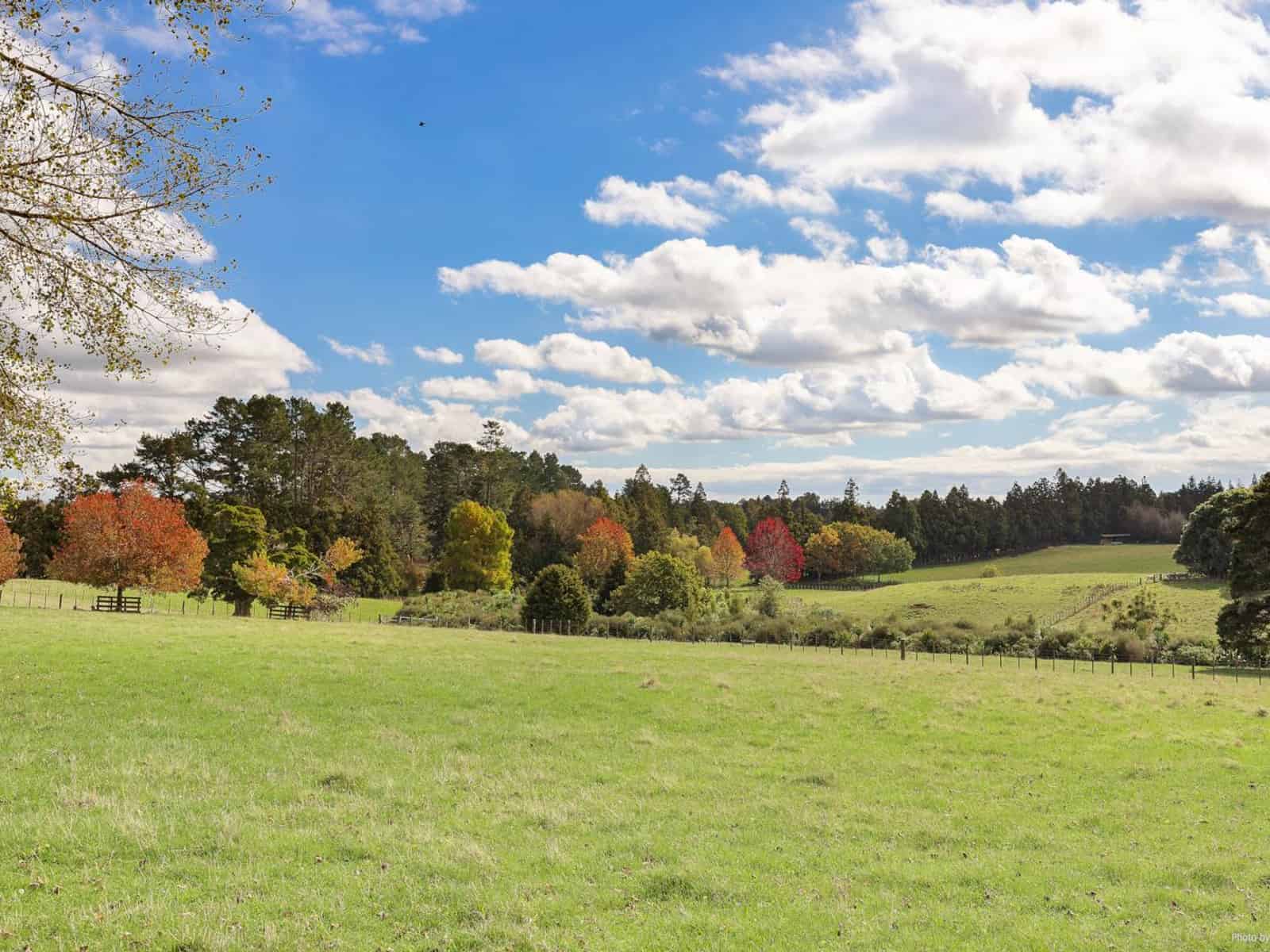 Auckland Rural Farms and Real Estate for Sale - realestate.co.nz