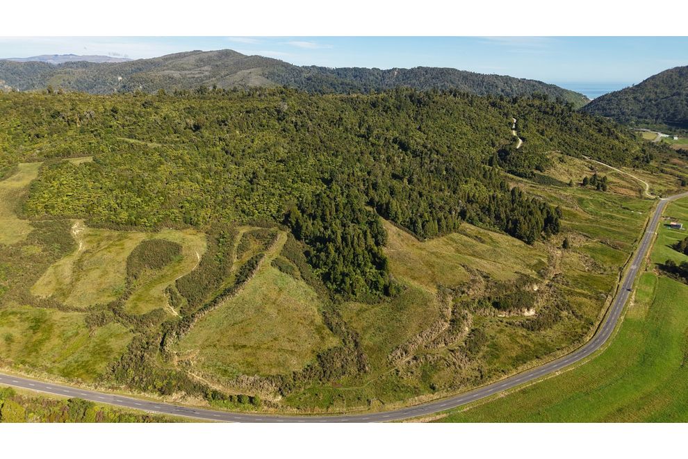 40Ha Block State Highway 67, Mokihinui, Buller - For Sale - realestate ...
