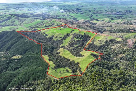 Sold - 430 North Road, Mangatarata - realestate.co.nz