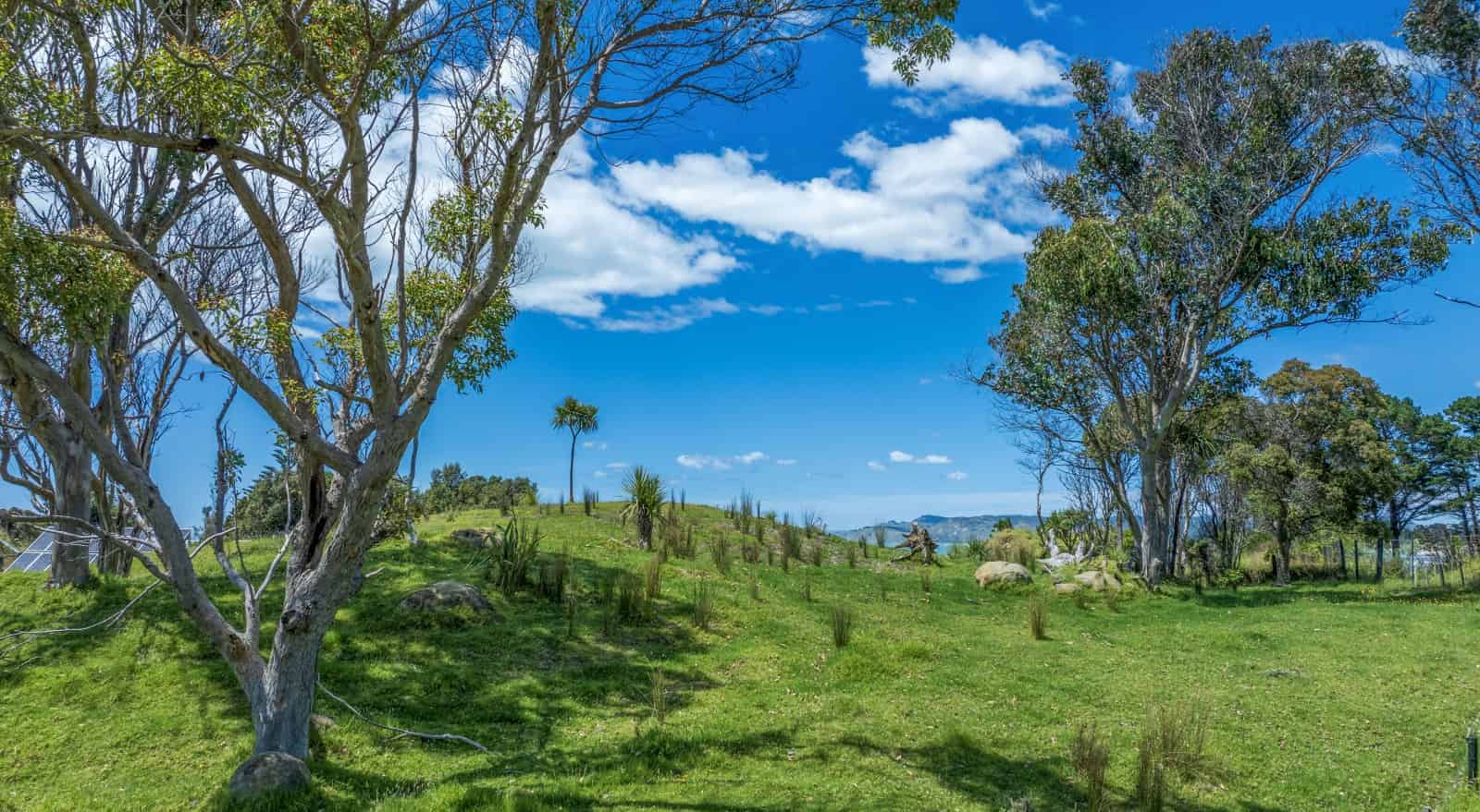 39 Happy Jacks Road, Mahia , Mahia, Wairoa - For Sale - realestate.co.nz
