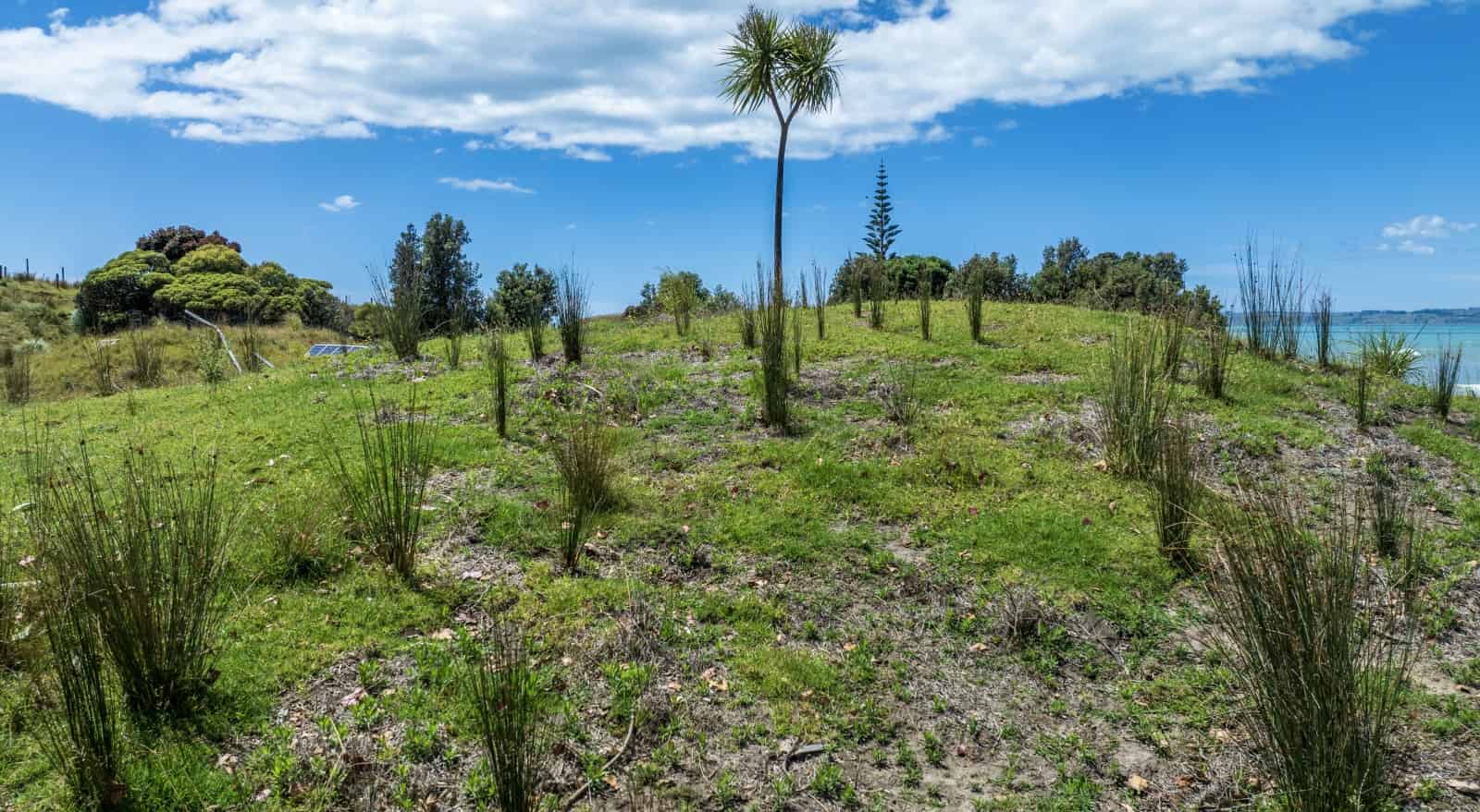 39 Happy Jacks Road, Mahia , Mahia, Wairoa - For Sale - realestate.co.nz