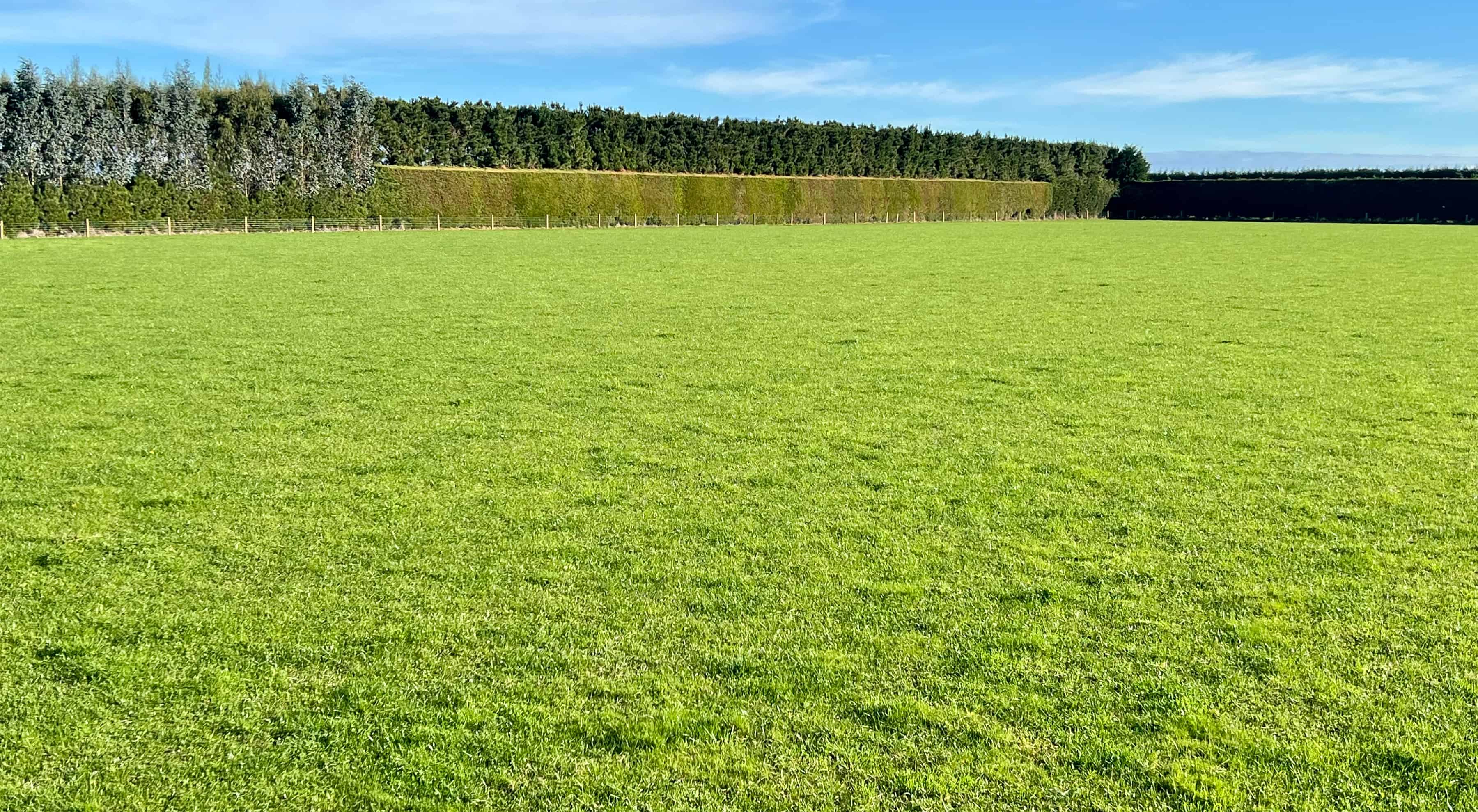 Sold - 40 Billy Way, West Plains - realestate.co.nz